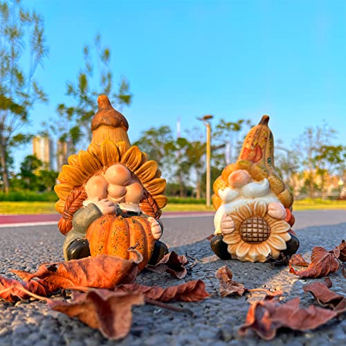 HONGLAND Garden Gnome Statue,2 Pack Resin Gnome Figurine Pumpkin Ornaments Outdoor Statues Home Decor for Fall Harvest Thanksgiving, Patio Yard Lawn Porch, Gardening Decor-6.5 Inch