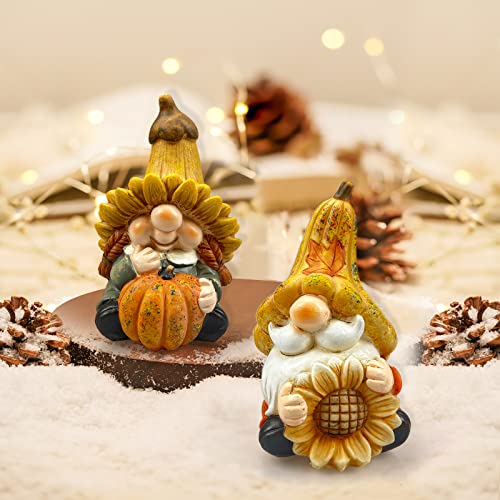 HONGLAND Garden Gnome Statue,2 Pack Resin Gnome Figurine Pumpkin Ornaments Outdoor Statues Home Decor for Fall Harvest Thanksgiving, Patio Yard Lawn Porch, Gardening Decor-6.5 Inch