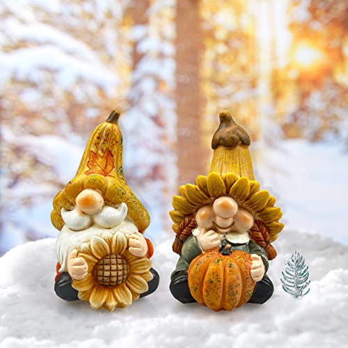 HONGLAND Garden Gnome Statue,2 Pack Resin Gnome Figurine Pumpkin Ornaments Outdoor Statues Home Decor for Fall Harvest Thanksgiving, Patio Yard Lawn Porch, Gardening Decor-6.5 Inch