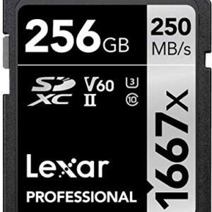 Lexar Professional 1667x 256GB SDXC UHS-II Memory Card, C10, U3, V60, Full-HD & 4K Video, Up To 250MB/s Read, for Professional Photographer, Videographer, Enthusiast (LSD256CBNA1667)