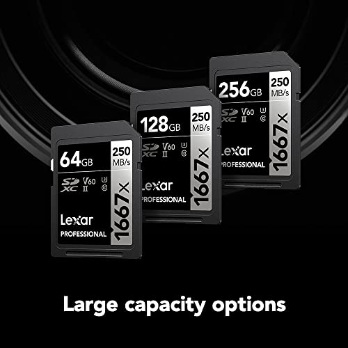 Lexar Professional 1667x 256GB SDXC UHS-II Memory Card, C10, U3, V60, Full-HD & 4K Video, Up To 250MB/s Read, for Professional Photographer, Videographer, Enthusiast (LSD256CBNA1667)