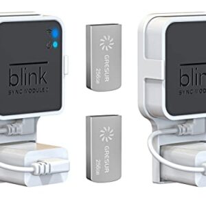 256GB Blink USB Flash Drive for Local Video Storage with The Blink Sync Module 2 Mount (Blink Add-On Sync Module 2 is NOT Included),2Pack