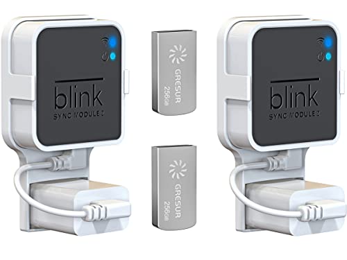 256GB Blink USB Flash Drive for Local Video Storage with The Blink Sync Module 2 Mount (Blink Add-On Sync Module 2 is NOT Included),2Pack