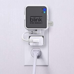 256GB Blink USB Flash Drive for Local Video Storage with The Blink Sync Module 2 Mount (Blink Add-On Sync Module 2 is NOT Included),2Pack