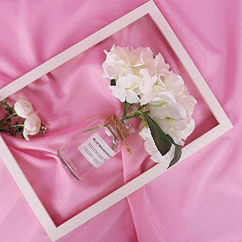 GFCC Pink Backdrop Photography Background - 6FT x 10FT Photo Backdrop for Photoshoot Photography Video Recording Background Screen Picture Curtain