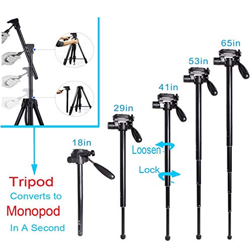 Regetek 73" Camera Tripod Travel Monopod (Aluminum Professional Video Camera Mount) Adjustable Stand with Flexible Head for Canon Nikon DV DSLR Camcorder Webcam Gopro cam& Carry Bag & Cellphone Mount