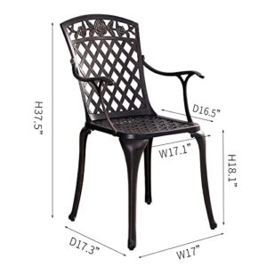 Withniture Cast Aluminum Patio Chairs Set of 2, Patio Bistro Dining Chairs Set with Large Back, All Weather Metal Outdoor Chairs for Garden Deck Backyard, Lattice Weave Design