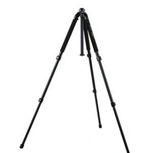 SLIK Pro 700 DX Tripod Legs - Black