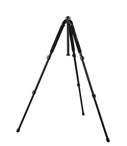 SLIK Pro 700 DX Tripod Legs - Black