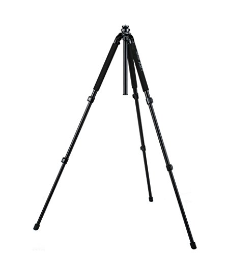 SLIK Pro 700 DX Tripod Legs - Black