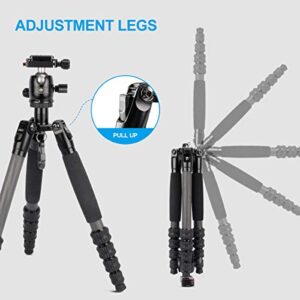 SIRUI Carbon Fiber Travel Tripod Compact Lightweight Slik Tripod with B00K Head, Arca Swiss Plate, Load 8kg/17.6lbs, Weight 2lbs, Folded Height 13" (Traveler 5CX)