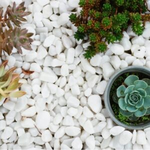 roofoo polished stones river pebbles vase fillers white rocks garden gravel 1.6lb for aquarium,fish tank,terrarium, fairy gardening,top dressing,bonsai,zen garden,air plants succulent,soil cover