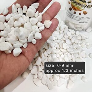 ROOFOO Polished Stones River Pebbles Vase Fillers White Rocks Garden Gravel 1.6LB for Aquarium,Fish Tank,Terrarium, Fairy Gardening,Top Dressing,Bonsai,Zen Garden,Air Plants Succulent,Soil Cover