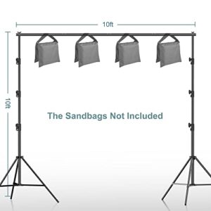 FUDESY Photo Video Studio 10 x 10Ft Heavy Duty Adjustable Backdrop Stand,Background Support System for Photography with Carry Bag,Two Pieces Spring Clamps