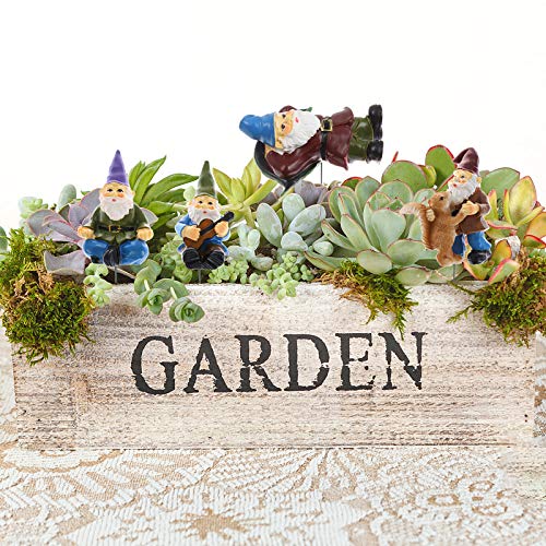 Haomian Set of 5 Miniature Garden Gnomes Mini Gnome Figures Waterproof Resin Ornament Miniature Fairy Garden Ornaments Outdoor Accessories Micro Landscape Decoration