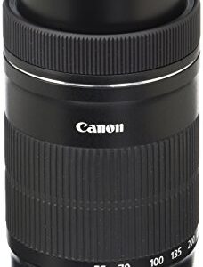 Canon EF-S 55-250mm F4-5.6 is STM