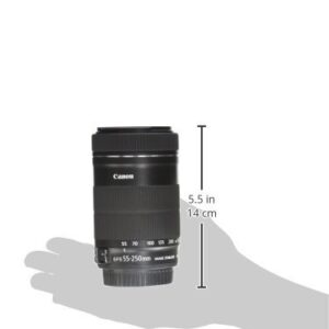 Canon EF-S 55-250mm F4-5.6 is STM