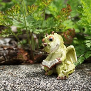 Top Collection Miniature Garden Dragon Reading Book