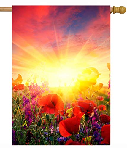 ShineSnow Floral Flowers Red Poppies Field Sunlight Sunrise Autumn Summer Spring House Flag 28" x 40" Double Sided Polyester Welcome Yard Garden Flag Banners for Patio Lawn Home Outdoor Decor