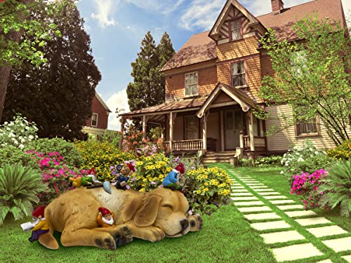 By Mark & Margot Gnome Fairy Statue Garden Decorations Sleeing Dog Gnomes Faires Outside Or Inside Home Decore