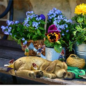 By Mark & Margot Gnome Fairy Statue Garden Decorations Sleeing Dog Gnomes Faires Outside Or Inside Home Decore