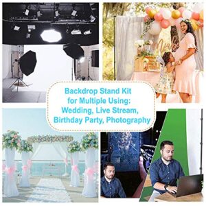 Backdrop Stand 6.5x10ft/2x3m,BDDFOTO Photo Video Party Background Stand Support System for Parties with Carring Bag