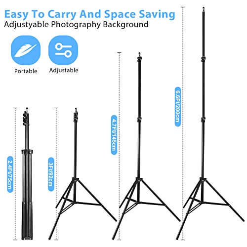 Backdrop Stand 6.5x10ft/2x3m,BDDFOTO Photo Video Party Background Stand Support System for Parties with Carring Bag