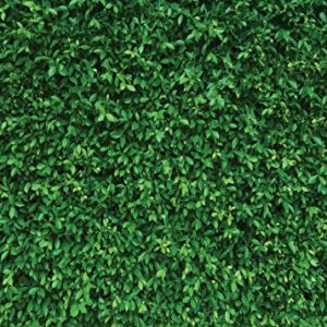 LYWYGG 7x5FT Green Leaves Photography Backdrops Nature Backdrop Birthday Background for Birthday Party Seamless Photo Booth Prop Backdrop CP-87