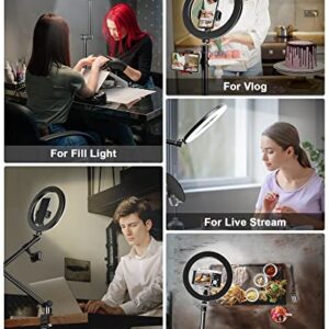 LUOLED Ring Light with Stand and Phone Holder, USB 10'' Ring Light for Desk, Overhead Camera Mount with Ring Light, Desktop Ring Light with Clamp for Photography/Makeup/Live Stream Video/YouTube