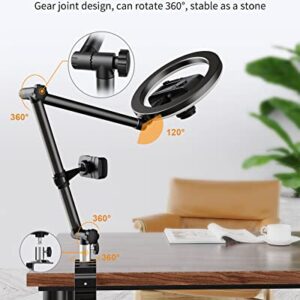 LUOLED Ring Light with Stand and Phone Holder, USB 10'' Ring Light for Desk, Overhead Camera Mount with Ring Light, Desktop Ring Light with Clamp for Photography/Makeup/Live Stream Video/YouTube