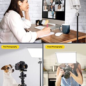 RALENO Led Video Light, Built-in 4000mAh*2 Battery 3200-5600K CRI95+ 0-100% Brightness Adjustment on Camera Light, for Vlog Lighting Video Conference YouTube Studio Photography