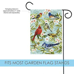 Toland Home Garden 112582 Bird Collage Bird Flag 12x18 Inch Double Sided Bird Garden Flag for Outdoor House Flag Yard Decoration