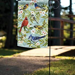 Toland Home Garden 112582 Bird Collage Bird Flag 12x18 Inch Double Sided Bird Garden Flag for Outdoor House Flag Yard Decoration