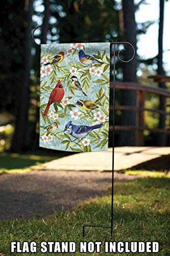 Toland Home Garden 112582 Bird Collage Bird Flag 12x18 Inch Double Sided Bird Garden Flag for Outdoor House Flag Yard Decoration