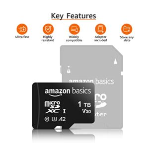 Amazon Basics microSDXC Memory Card with Full Size Adapter, A2, U3, Read Speed up to 100 MB/s, 1 TB