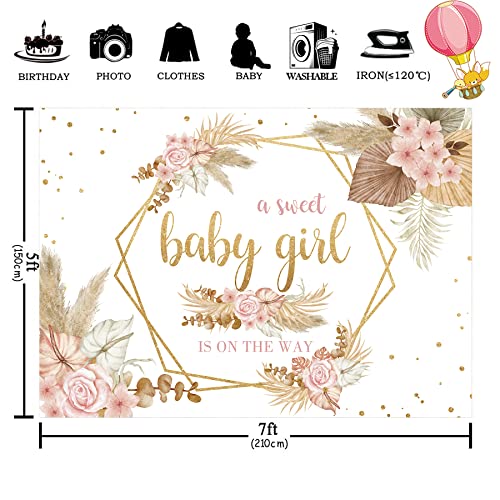 Homewelle Boho Bohemian Floral Sweet Baby Girl Backdrop 7Wx5H Feet Polyester Fabric Baby Shower Blush Pink Flower Pampas Grass Gold Party Decoration Newborn Photography Background Photo Shoot Prop