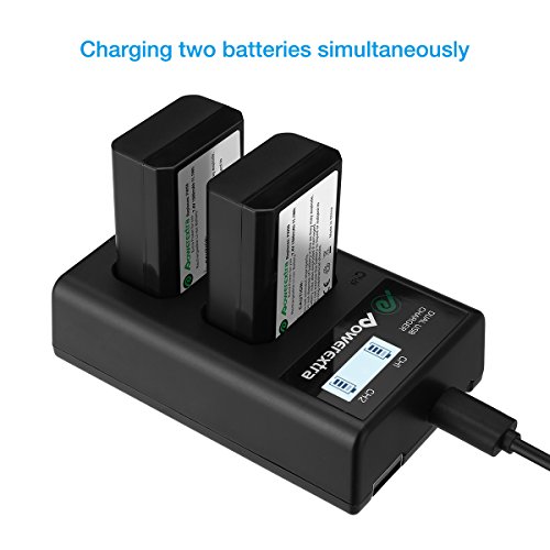 Powerextra 2 Pack Replacement Sony NP-FW50 Battery & Smart LCD Display Dual Channel Charger Compatible for Sony ZV-E10, Alpha a6500, a6300, a6000, a7s, a7, a7s ii, a7s, a5100, a5000, a7r, a7 ii Camera