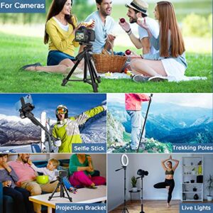 Camera Tripod 69 Inch, Patented 3-Way Swivel Portable Phone Tripod Professional Aluminum Alloy Travel Phone Camera Stand Monopod for Canon Nikon GoPro DSLR, DV Video Camcorder, Smartphone