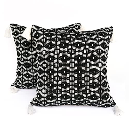 Palm and Porch - Boho Outdoor Pillow Covers - 20x20 Set of 2 - Woven Water Resistant Outdoor Pillows for Patio Furniture - Black and White Outdoor Pillows with Tassels