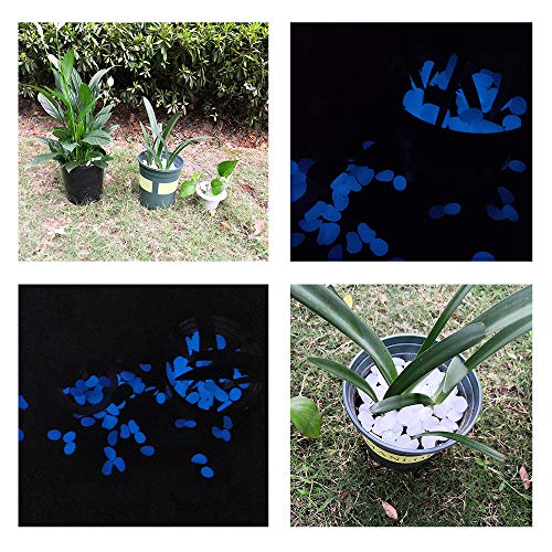 Glow in the Dark Pebble Stones - 200 Glow Rocks for Outdoor Yard Landscaping and Garden Use, and Indoor Fish Tank Aquarium, Glow-in-the-Dark Party Décor and Crafts, White Stones with Blue Glow