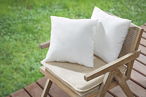 Codi Outdoor Pillow Inserts Set of 2, 20x20 Throw Pillows Insert, Water Resistant Decorative Stuffing Cushion for Patio Furniture. Couch, Porch Indoor Outdoors