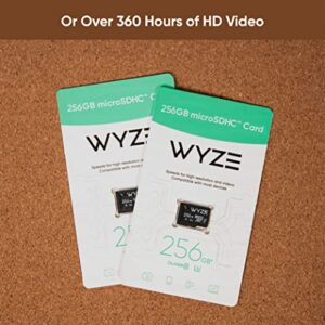 Wyze Expandable Storage 256GB MicroSDXC Card Class 10, Black