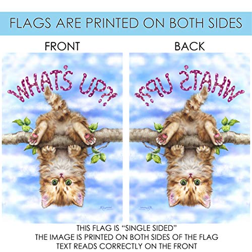 Toland Home Garden 1110807 What's Up Cat Flag 12x18 Inch Double Sided Cat Garden Flag for Outdoor House Kitten Flag Yard Decoration