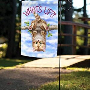 Toland Home Garden 1110807 What's Up Cat Flag 12x18 Inch Double Sided Cat Garden Flag for Outdoor House Kitten Flag Yard Decoration