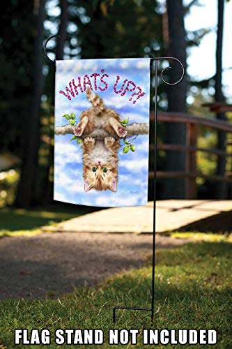 Toland Home Garden 1110807 What's Up Cat Flag 12x18 Inch Double Sided Cat Garden Flag for Outdoor House Kitten Flag Yard Decoration