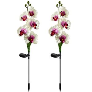 aolyty solar garden lights outdoor, ip65 waterproof solar stake lights butterfly orchid flowers lights for lawn patio backyard landscape party decorative (purple, 2 pack)