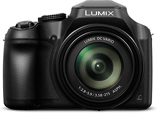 Panasonic Lumix DC-FZ80 4K Digital Camera, 18.1 Megapixel, 60x Zoom 20-1200mm Lens Bundle with Bag, 32GB SD Card, Corel PC Photo Editing Software Kit