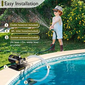 Limodot 12v Water Pump, 12 Volt Water Transfer Pump, Self Priming Battery Powered Pump, Portable DC Electric Pump With Suction Kit, ON/OFF Switch,1/8'' Low Suction, For RV, Rain Barrel, Pool, Garden