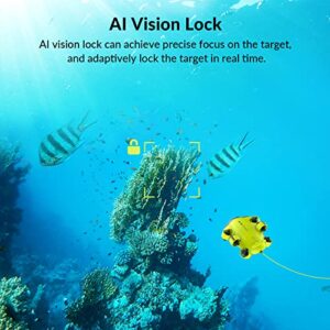 FIFISH V6 Underwater Drone with AI Vision Lock, QYSEA 360° Omnidirectional Movement Underwater ROV with 4K Camera, Portable Robot with VR Control, 166° UWA, App Control, Depth Hold (330ft Dive)