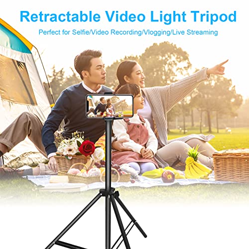 GreatLPT 75'' Light Stand Extendable, Photography Tripod Stand Metal Portable Tripod Stand Perfect for Ring Light, Softboxes, Video Lights, Camera